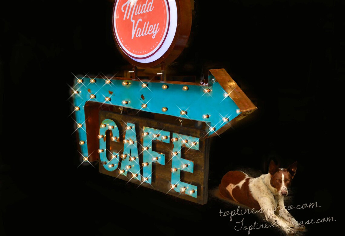 Neon Signs, Neon, Suspended LOGO + CAFE and Arrow, Marquee Signs, Word ...