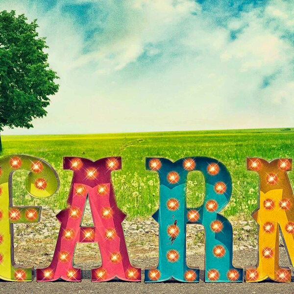 Vintage Carnival Photo Signs - Etsy