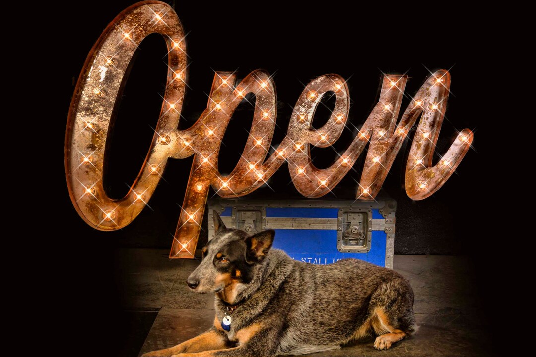 Open Sign, XXL, Marquee Open Sign, Marquee Letter, Marquee Sign ...