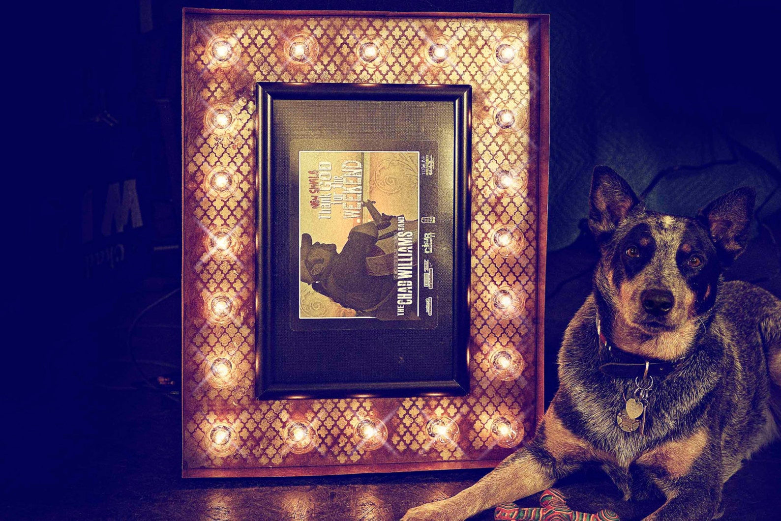 Trade show Marquee Display Marquee Poster Display Marquee | Etsy