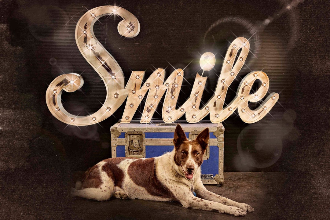 Custom Signs, SMILE Sign, Dentist Sign, Marquee Sign, Custom Signs ...