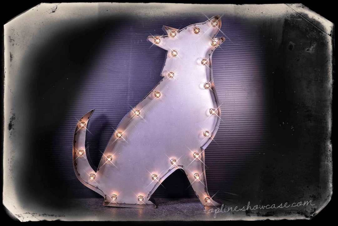 Dog Marquee Sign, Marquee Sign, Marquee Lights, Vintage Marquee ...