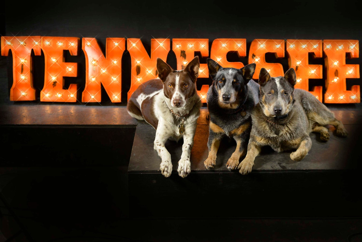 9 Letter Package Marquee Letter, Tennessee Vols MARQUEE SIGN Package ...