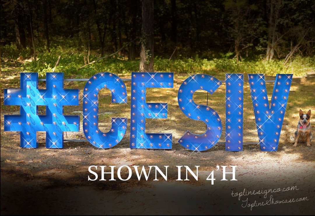 Stage Marquee, Custom Signs, Marquee Sign Units, Vintage Style Marquee ...