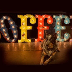 Coffee Marquee Sign, Marquee Light, Marquee Letter, Carnival Letter ...