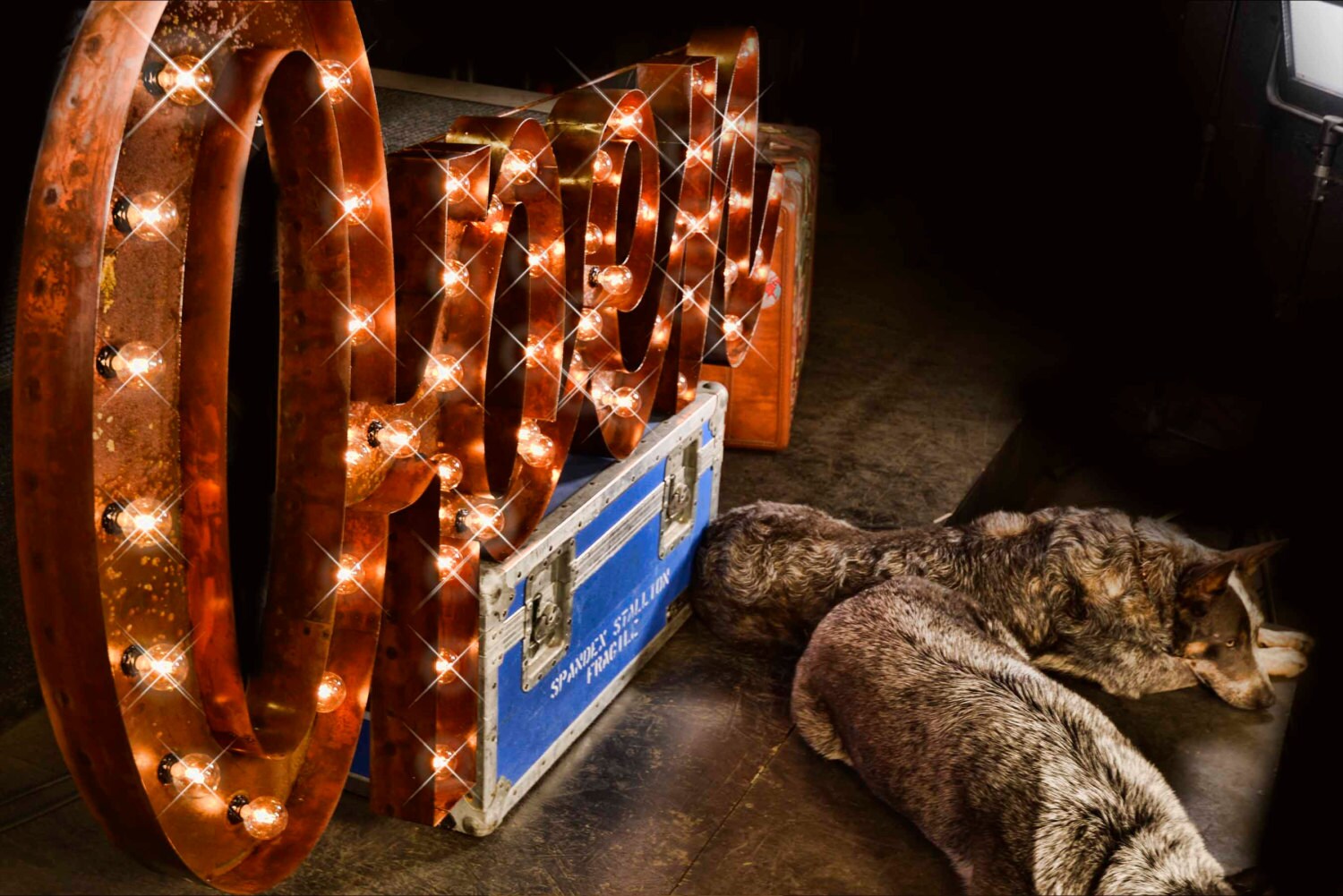 Open Sign XXL Marquee Open Sign Marquee Letter Marquee - Etsy