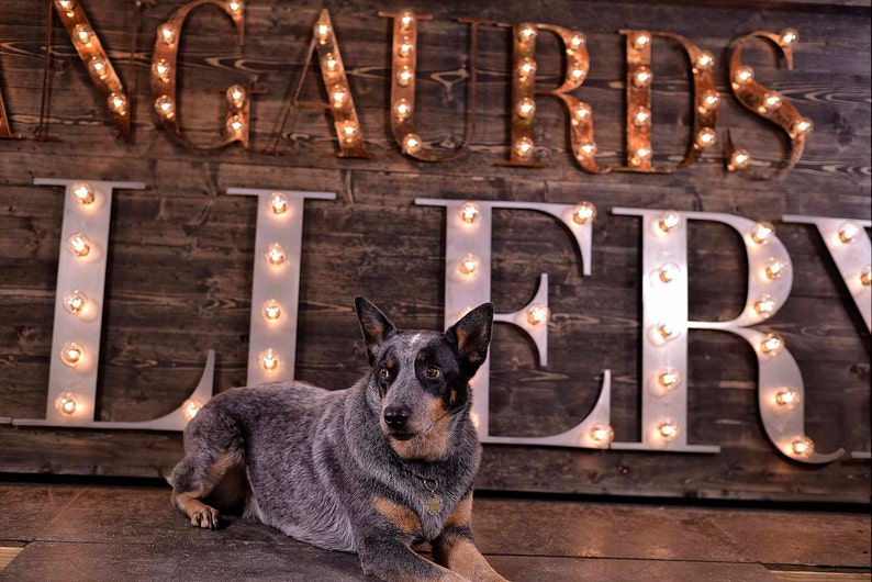 Custom Marquee Sign Custom Signs Business Sign Venue Sign | Etsy