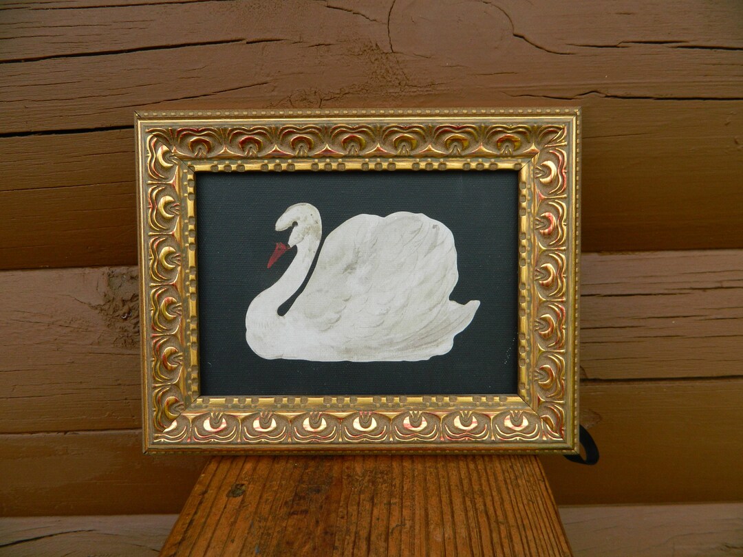 Framed Vintage Black Swan Print, Vintage Art Print - Canvas Print ...