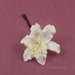 Bridal Lilly Flower Hair Pins Bridal Grips Bridal Hair - Etsy UK