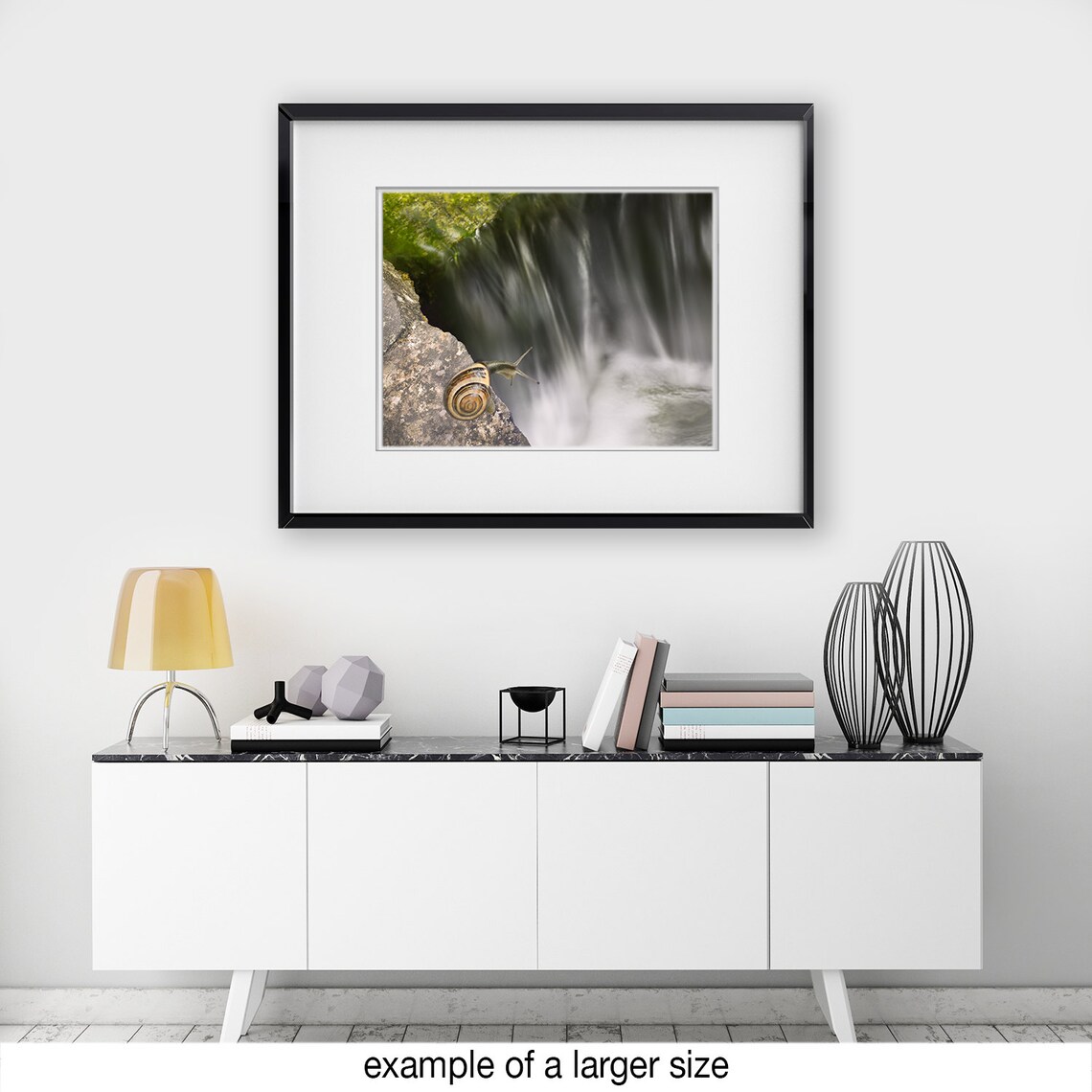 Waterfall Snail 8x10 Nature Photography Print. - Etsy