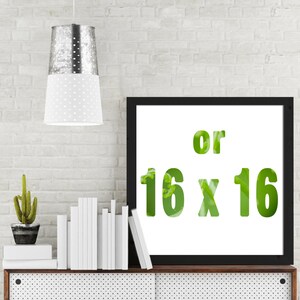 16x20 or 16x16 Fine Art Print. Choose Your Own Photography Print. - Etsy