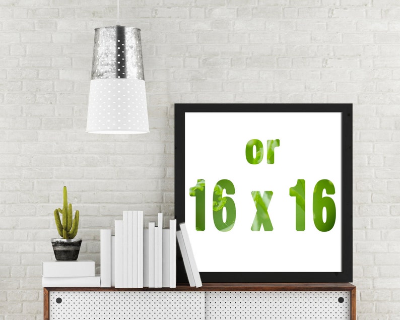16x20 or 16x16 Fine Art Print. Choose Your Own Photography Print. - Etsy