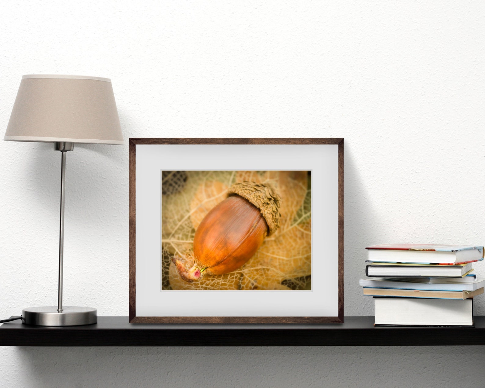 Acorn: 8x10 Nature Photography Fine Art Photo. - Etsy
