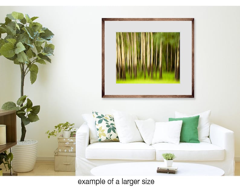 Birch Trees Abstract: 8x10 Nature Photography Image. - Etsy