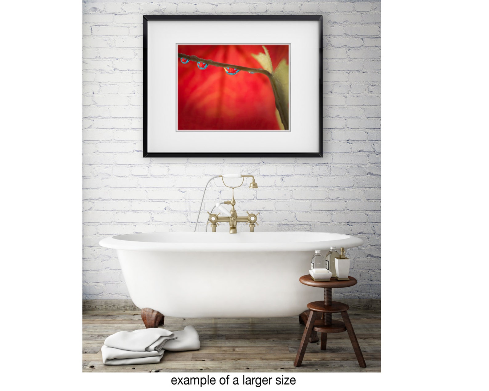 Red Maple Leaf: 8x10 Nature Photography Fine Art Image. - Etsy