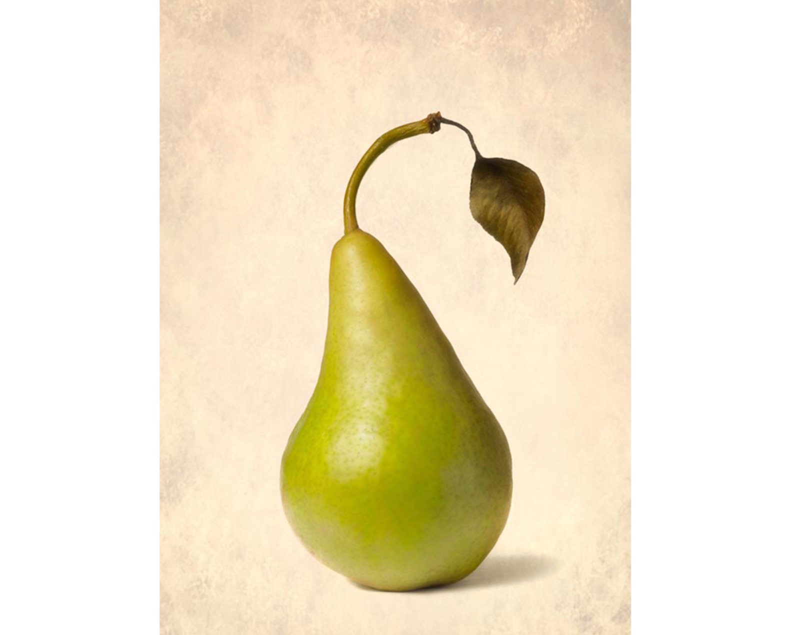 Pear: Photography Card of Still Life Fruit. 5 X 7 Frameable - Etsy