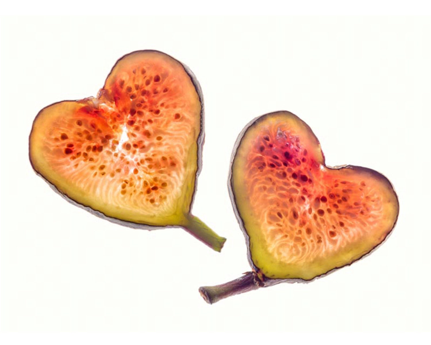 Fig Hearts Romantic Love Greeting Card 5x7 Frameable - Etsy