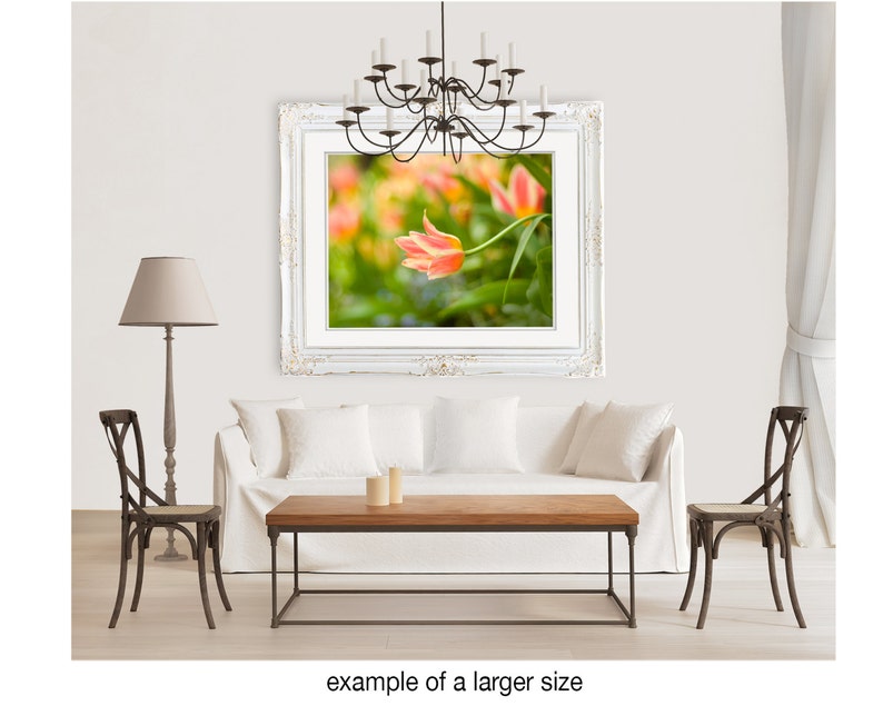 Spring Tulip: 8x10 Flower Photography Print. - Etsy