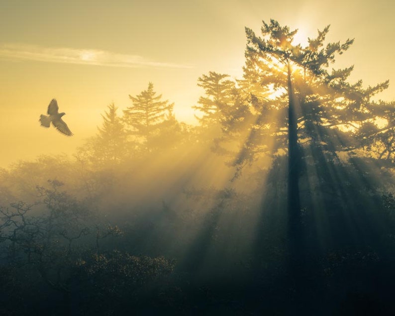 Flying Home: 8x10 Landscape Photography Print. - Etsy