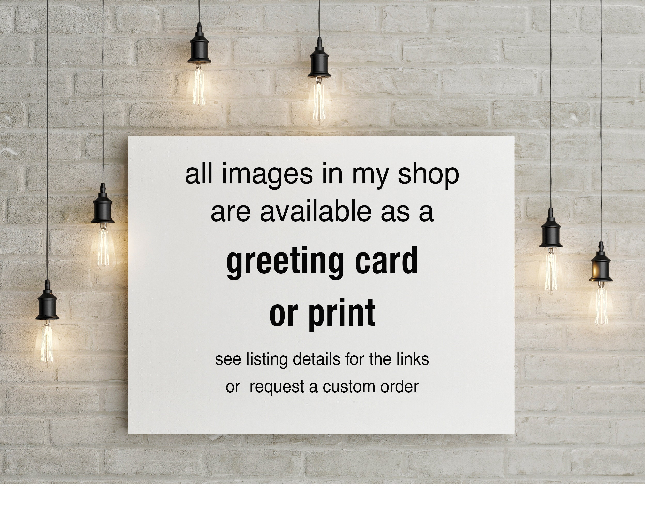 Monkey Family: 8x10 Wildlife Photography Print. - Etsy