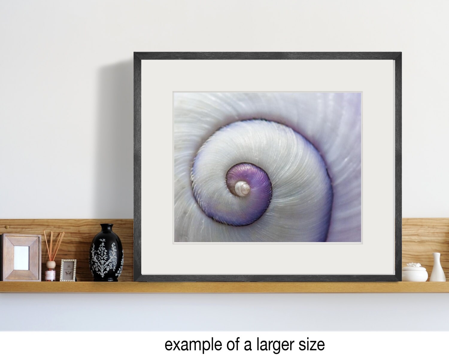 Purple Shell Spiral: 8x10 Seashell Fine Art Photography. - Etsy