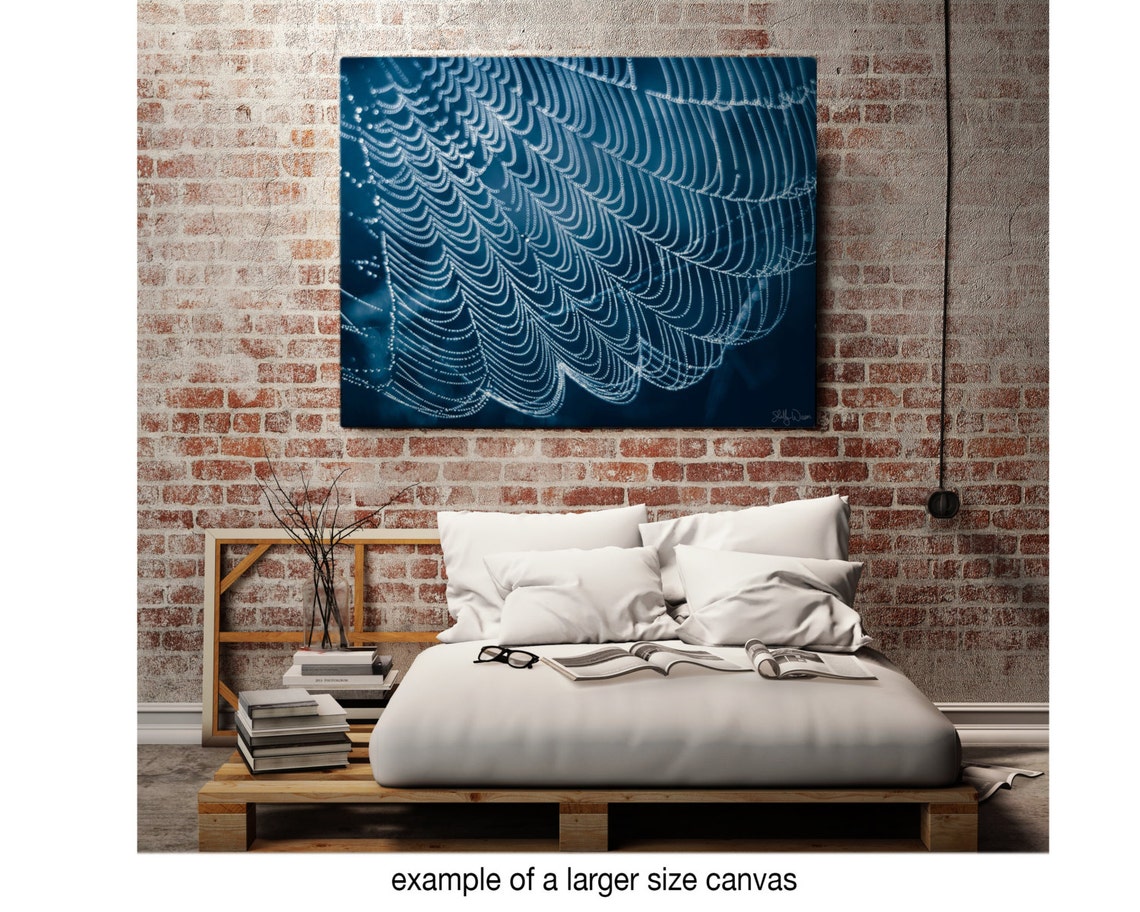 Spider Web: 8x10 Nature Photo Print. - Etsy