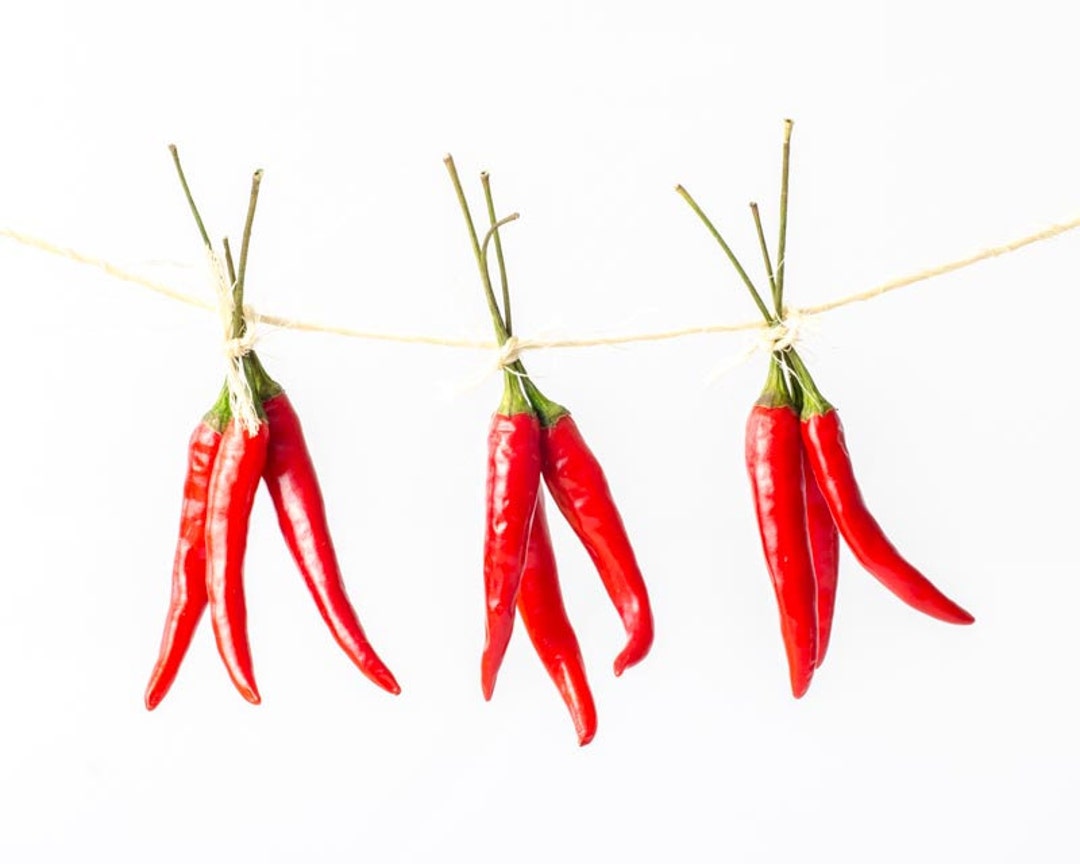 Red Chili Pepper Trio: 8x10 Food Photography Image - Etsy