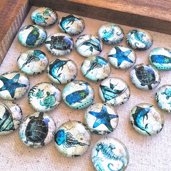 Sea Glass Magnets - Etsy