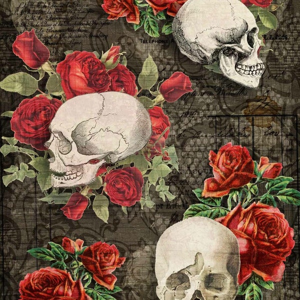 Skull Decoupage - Etsy