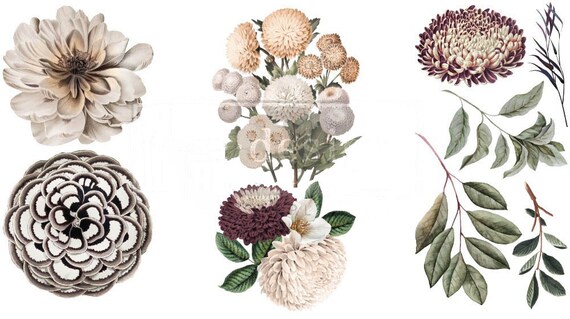 Re-design Prima NATURAL FLORA 6X12 Decor Transfers 3 | Etsy