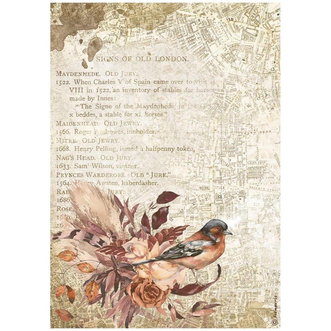 Stamperia OUR WAY - BIRD A4 Decoupage Rice Paper #DFSA4713 - Etsy