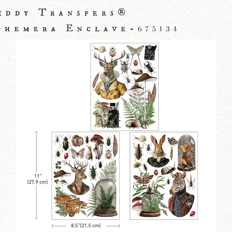 Prima Transfers - Etsy
