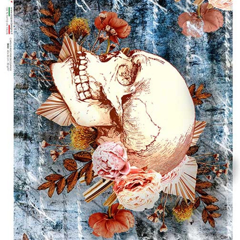 Skull Decoupage - Etsy
