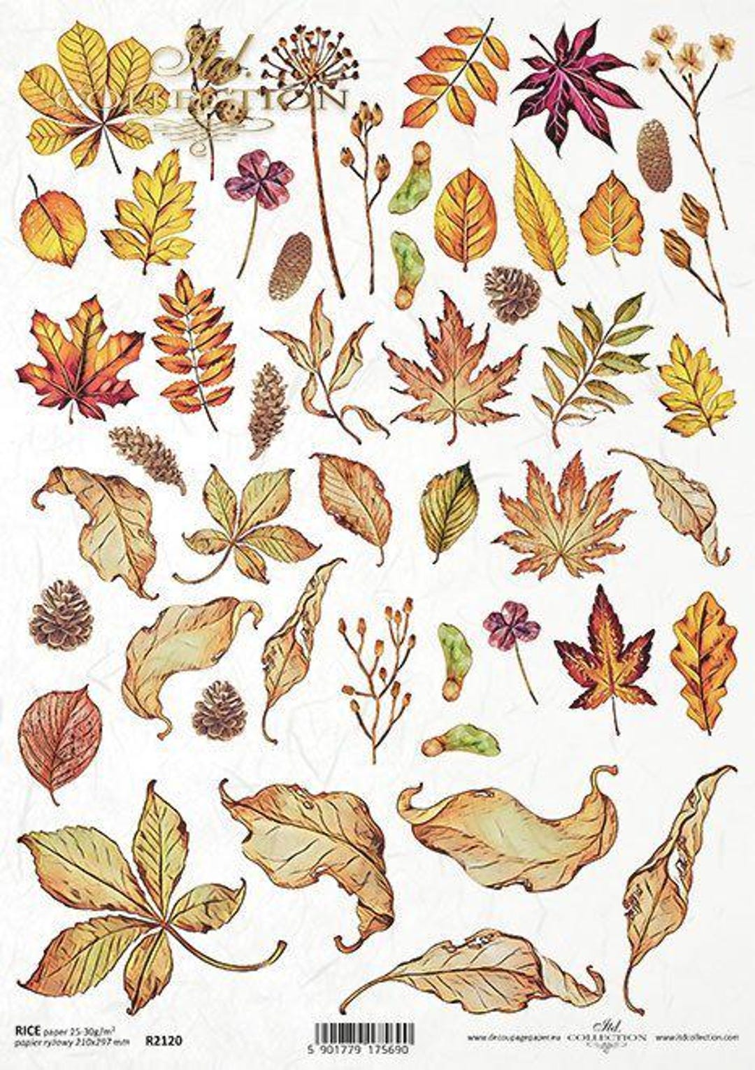 ITD Collection Autumn Leaves A4 Rice Paper R2120 - Etsy