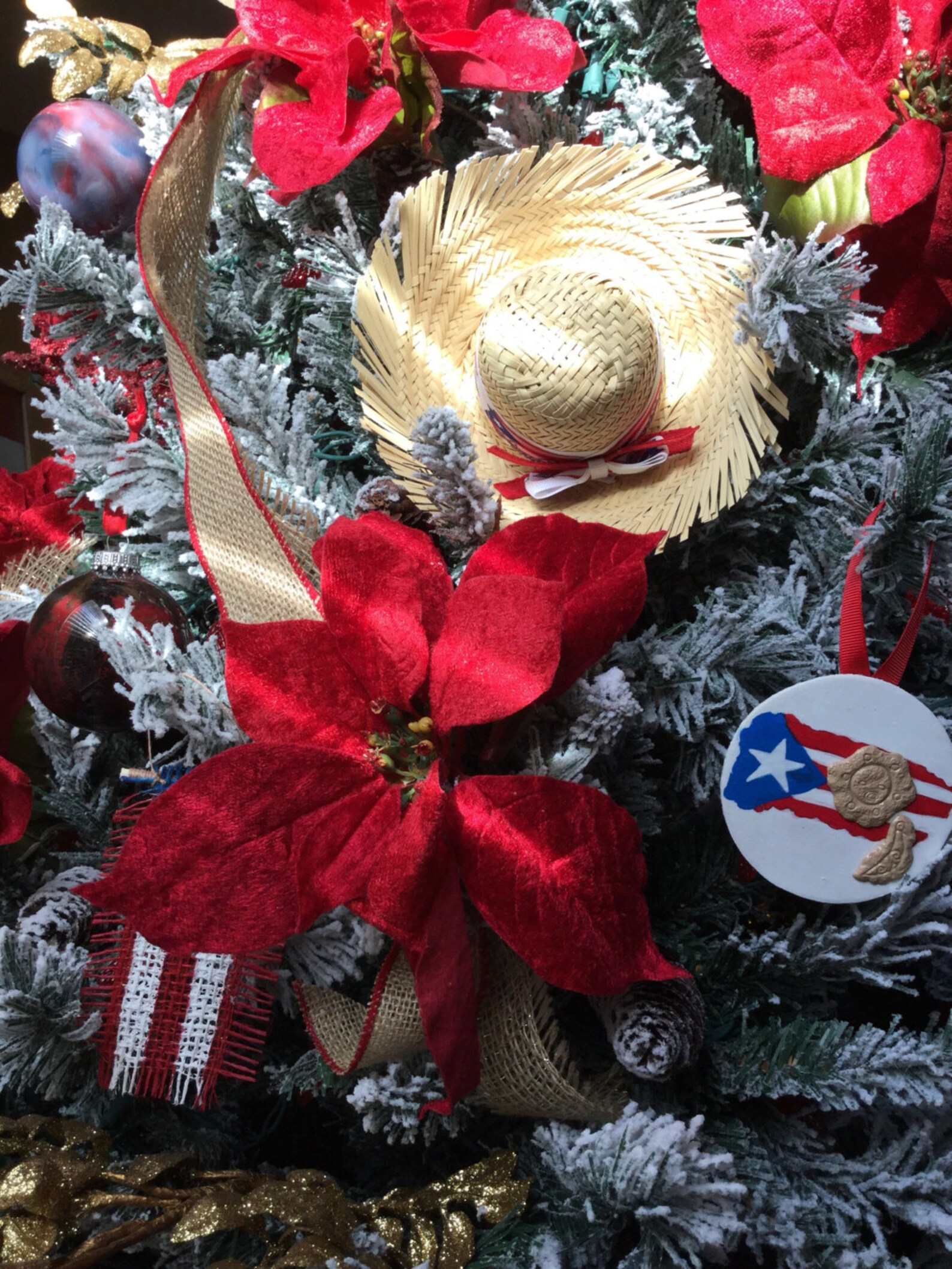 Small Puerto Rico Pavas - Etsy