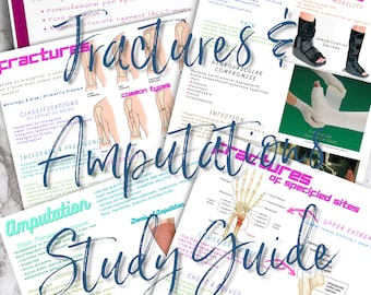 Musculoskeletal Sensory Disorders Study Guide Bundle for NCLEX, Medical ...