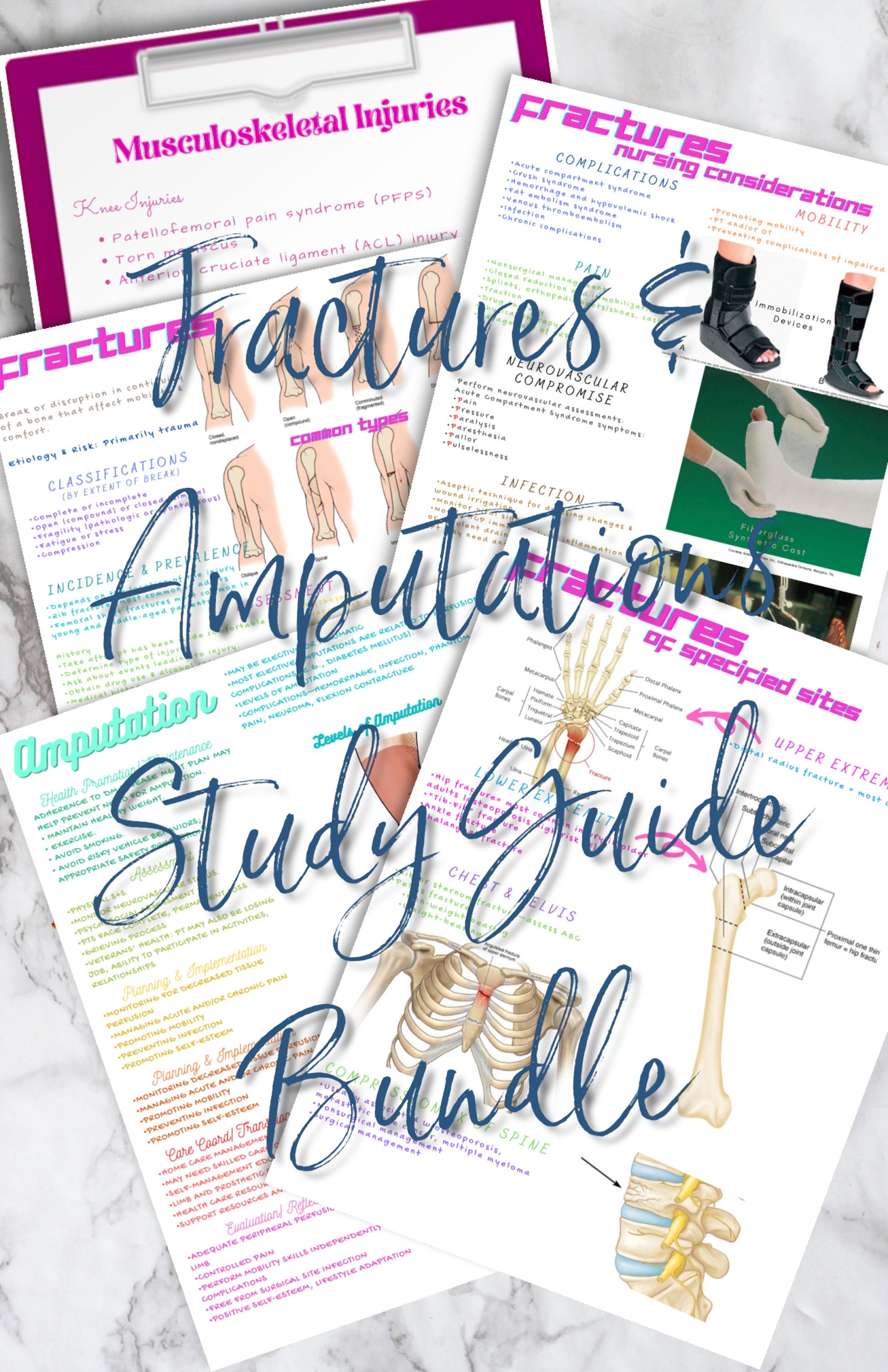 Musculoskeletal Injuries Study Guide Bundle - Etsy