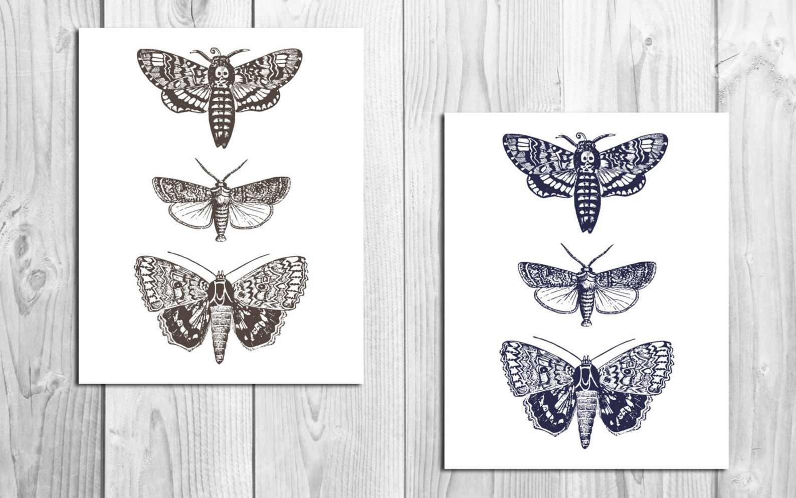 Moth Print Insect Print Bug Poster Modern Decor - Etsy