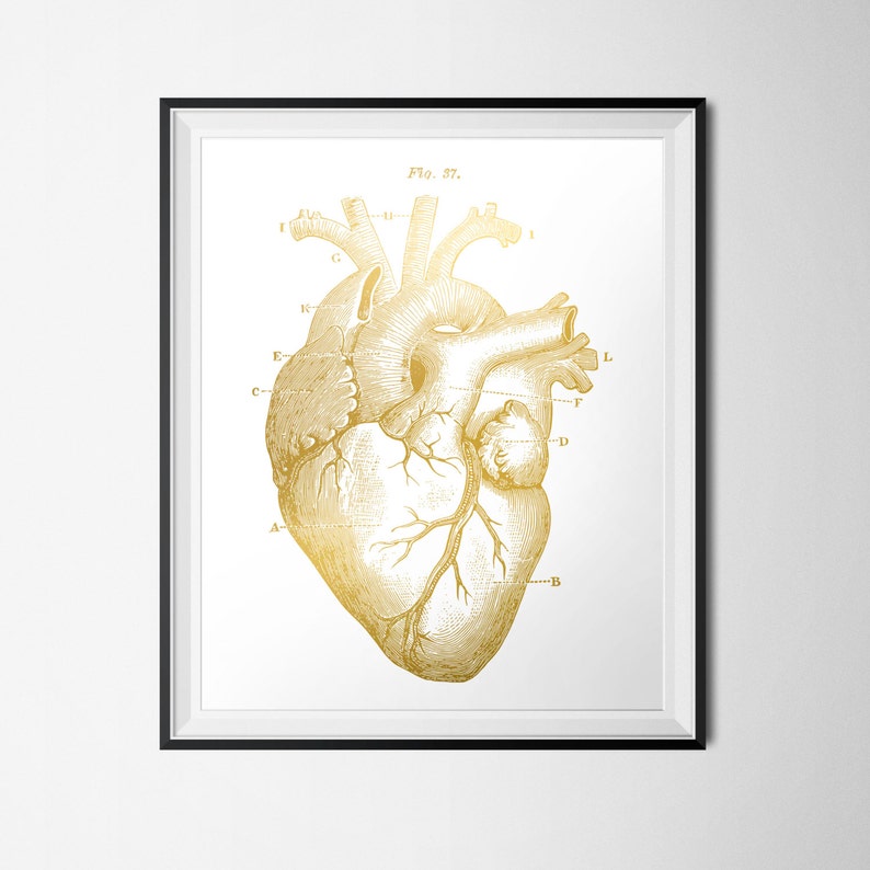 Gold Heart Print Human Heart Print Medical Printable | Etsy