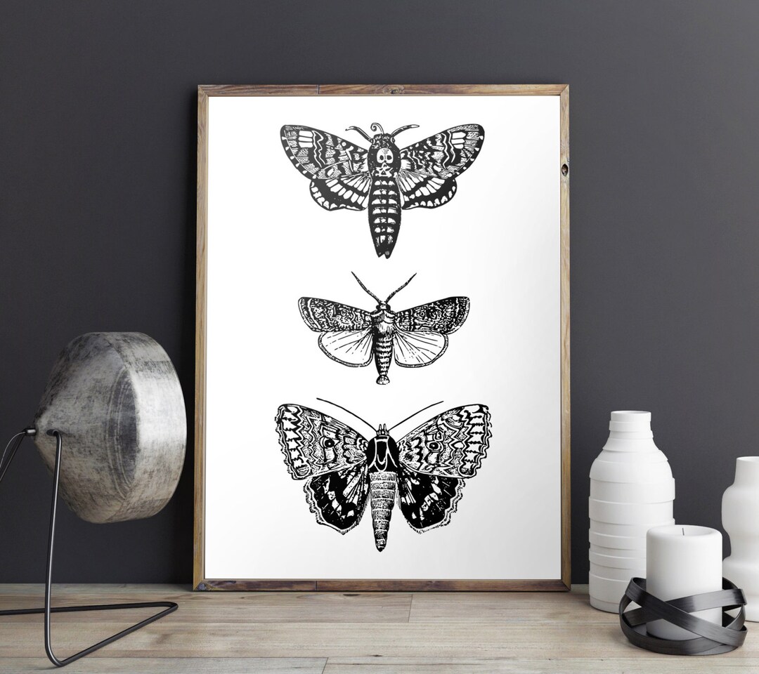 Moth Print, Insect Print, Bug Poster, Modern Decor, Death's Head Moth ...