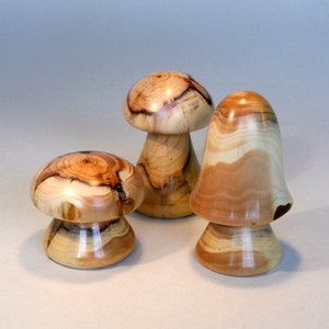 Handcrafted Yew Wood Toadstools set of 3 ref 242 - Etsy