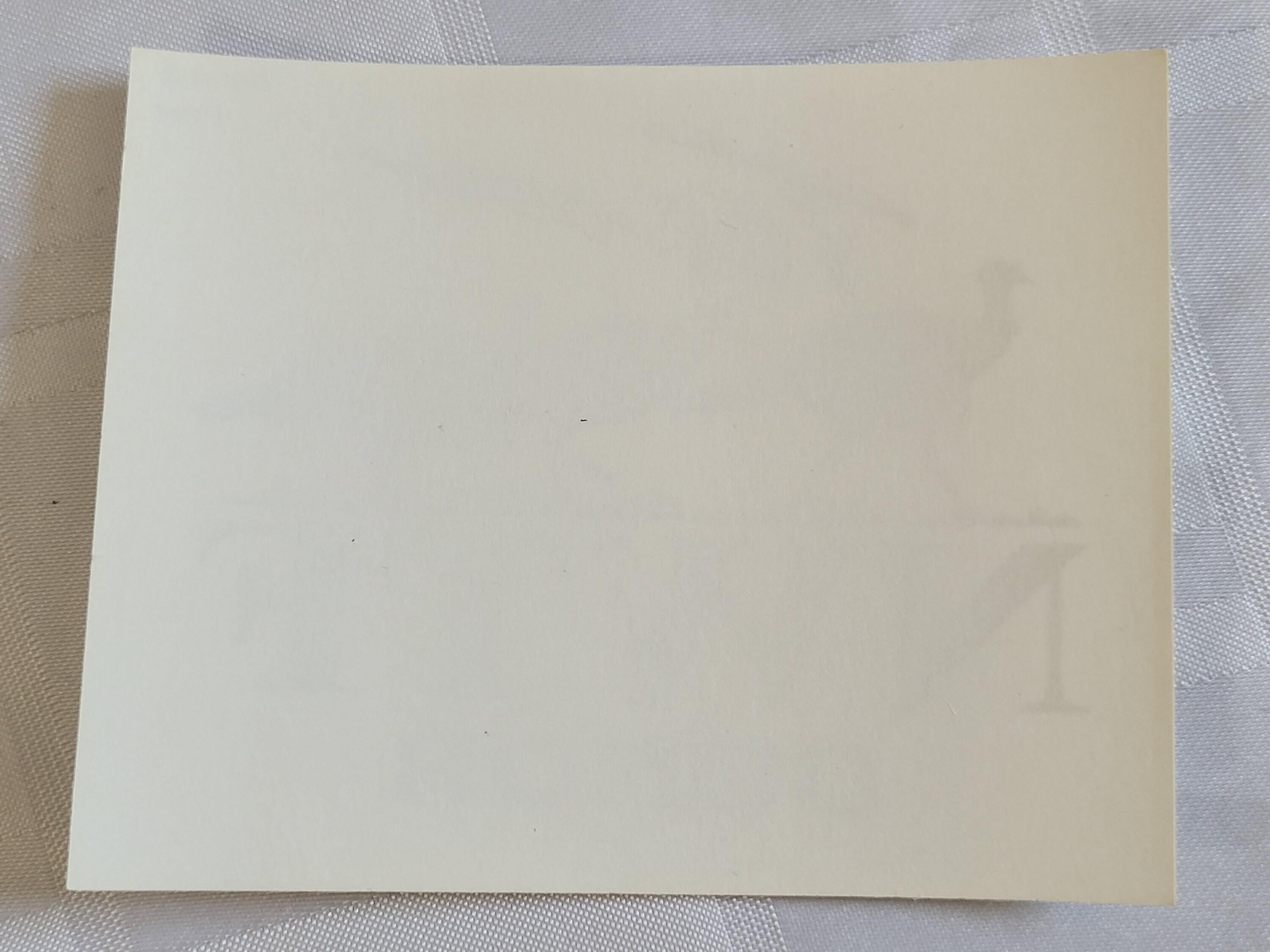 National Wild Turkey Federation Team NWTF Donor Sticker - Etsy