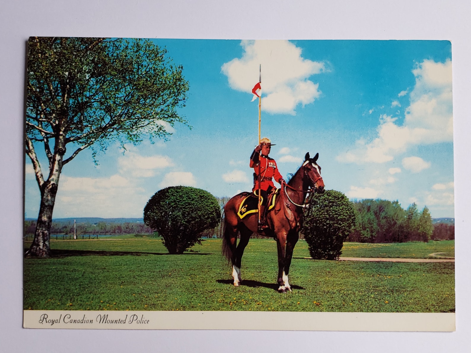 Royal Canadian Mounted Police Postcard Canada Vintage Police - Etsy