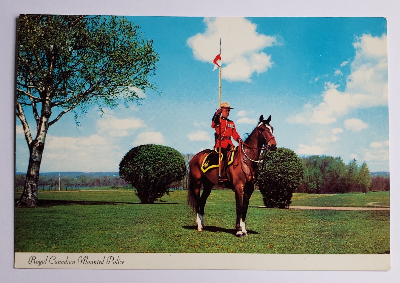 Royal Canadian Mounted Police Postcard Canada Vintage Police - Etsy