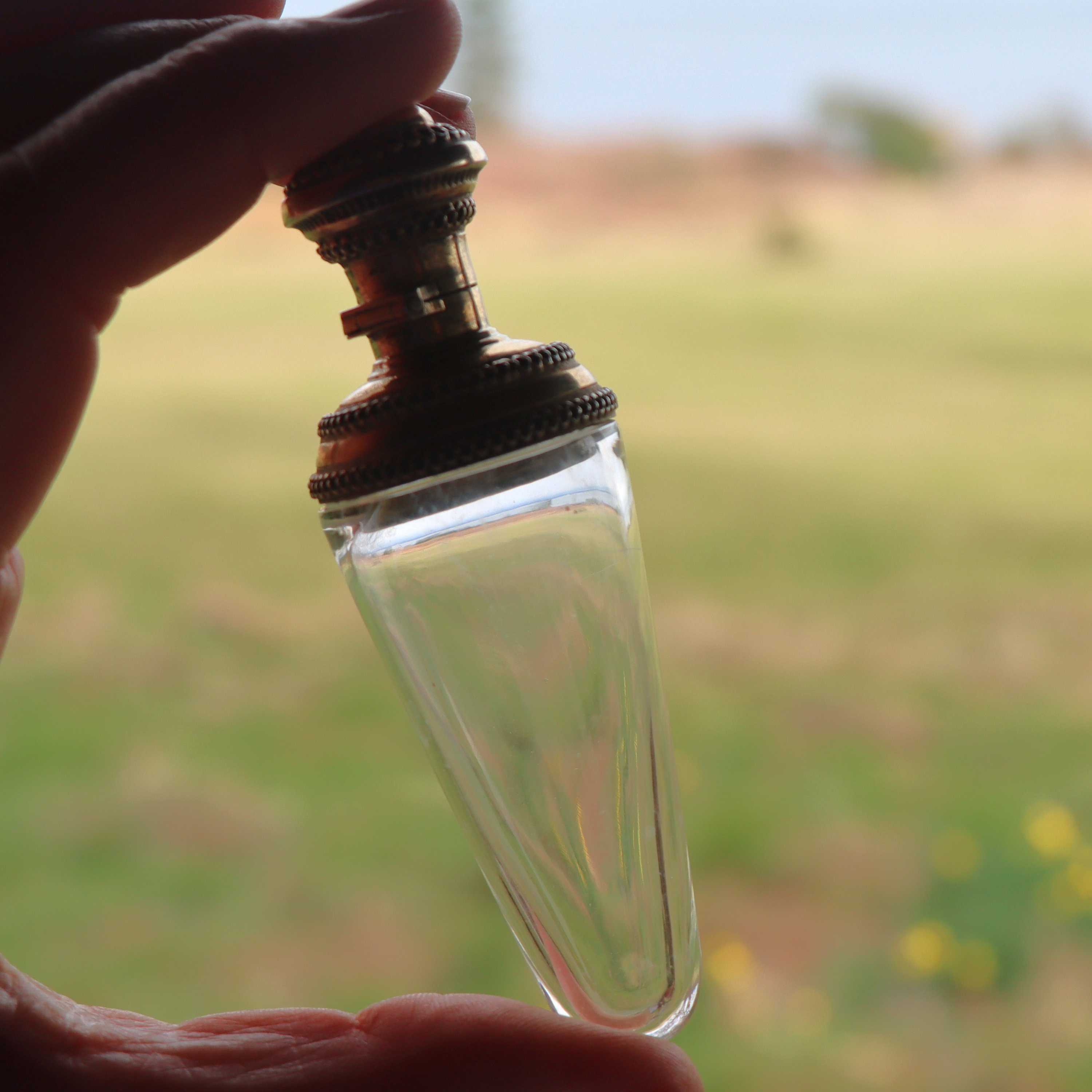 Victorian Etruscan Revival Sterling Gold Vermeil Lie Down Perfume ...
