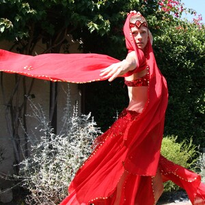 Ruby Red Professional Bellydancer Costume - Etsy