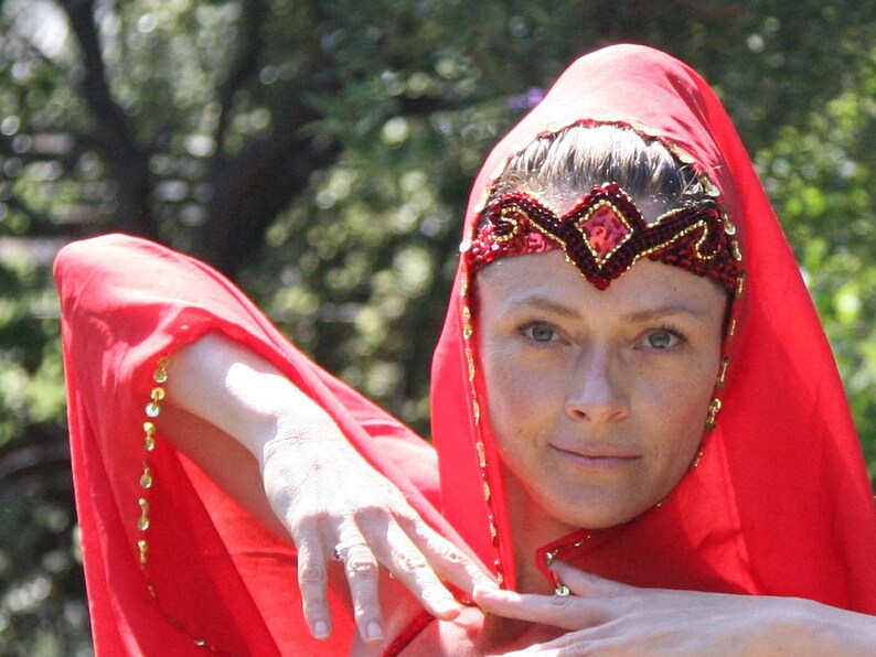 Ruby Red Professional Bellydancer Costume - Etsy