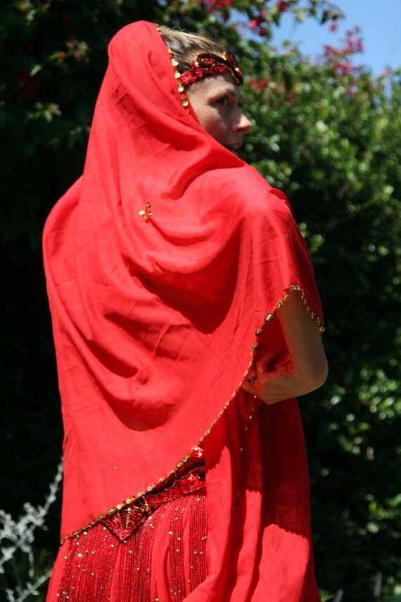 Ruby Red Professional Bellydancer Costume - Gem
