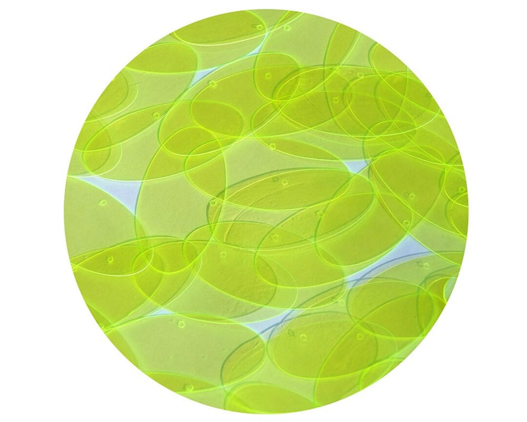 Ellipse Oval Vinyl Shape Top Hole 1.5 Inch Yellow Go Go Fluorescent ...
