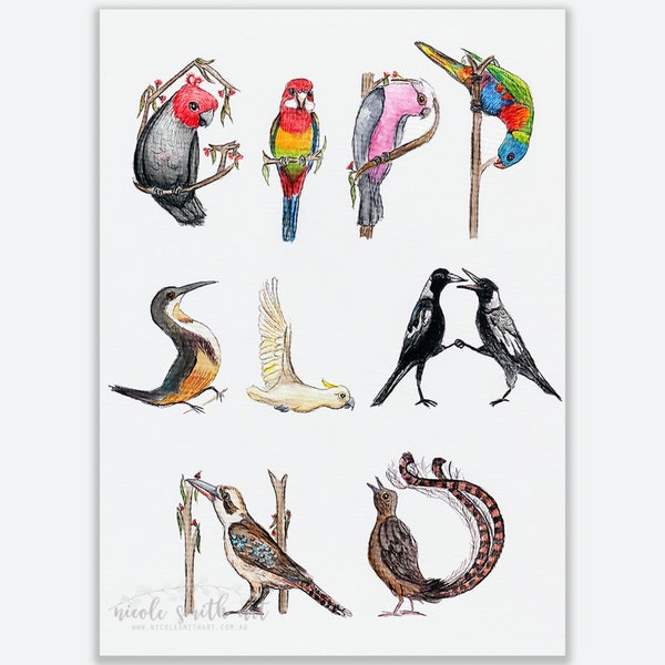 Bird Poster - Etsy Australia